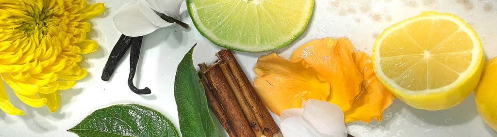 Hallu: Shop By Fragrance – The Village Company